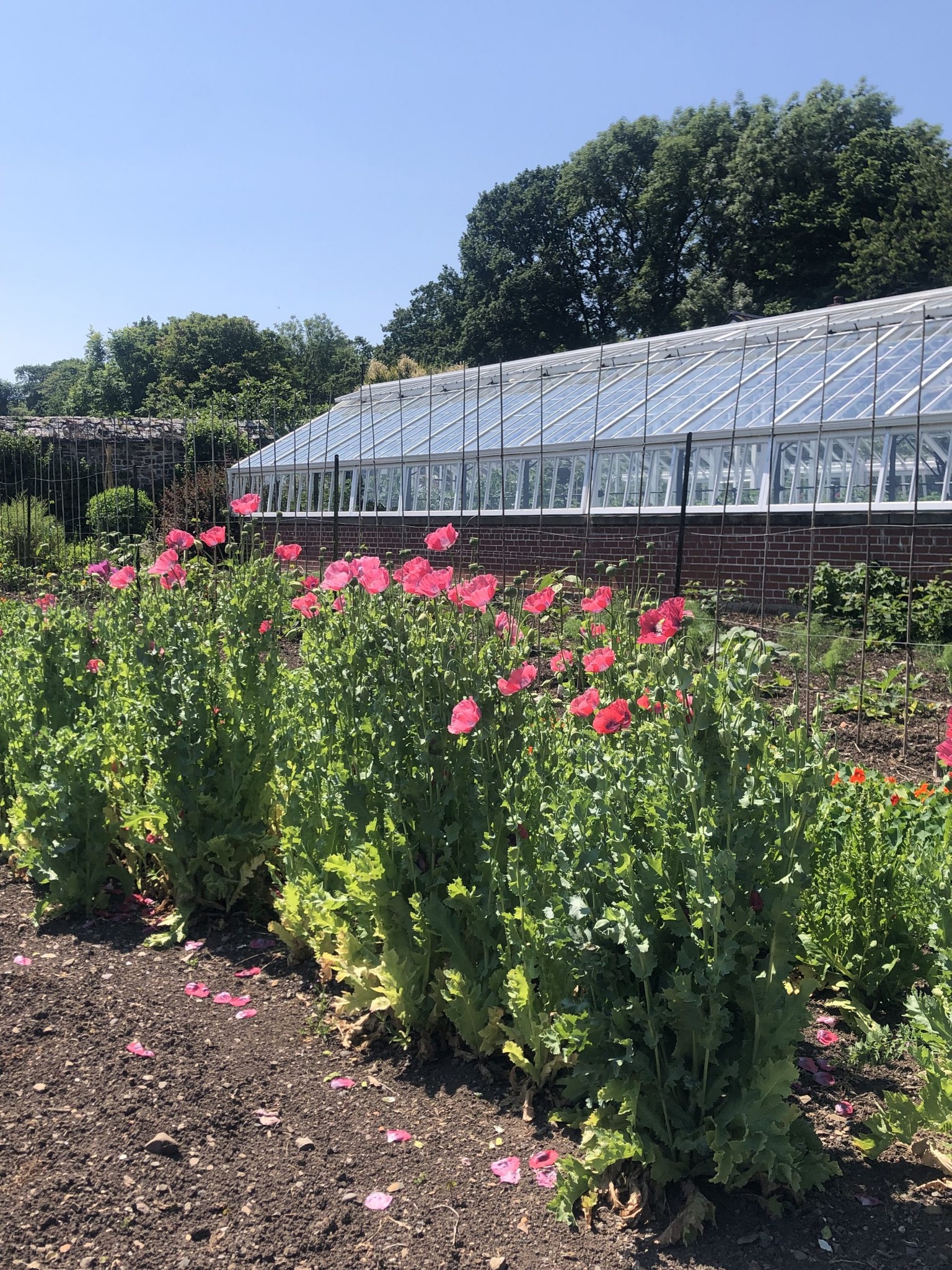 Visiting Clovelly: A quintessential British village | Chris & Suze Go ...
