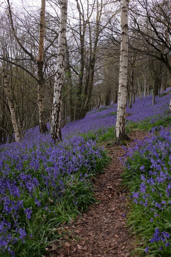 Enchanting National Trust places to visit this Spring | Chris & Suze Go ...