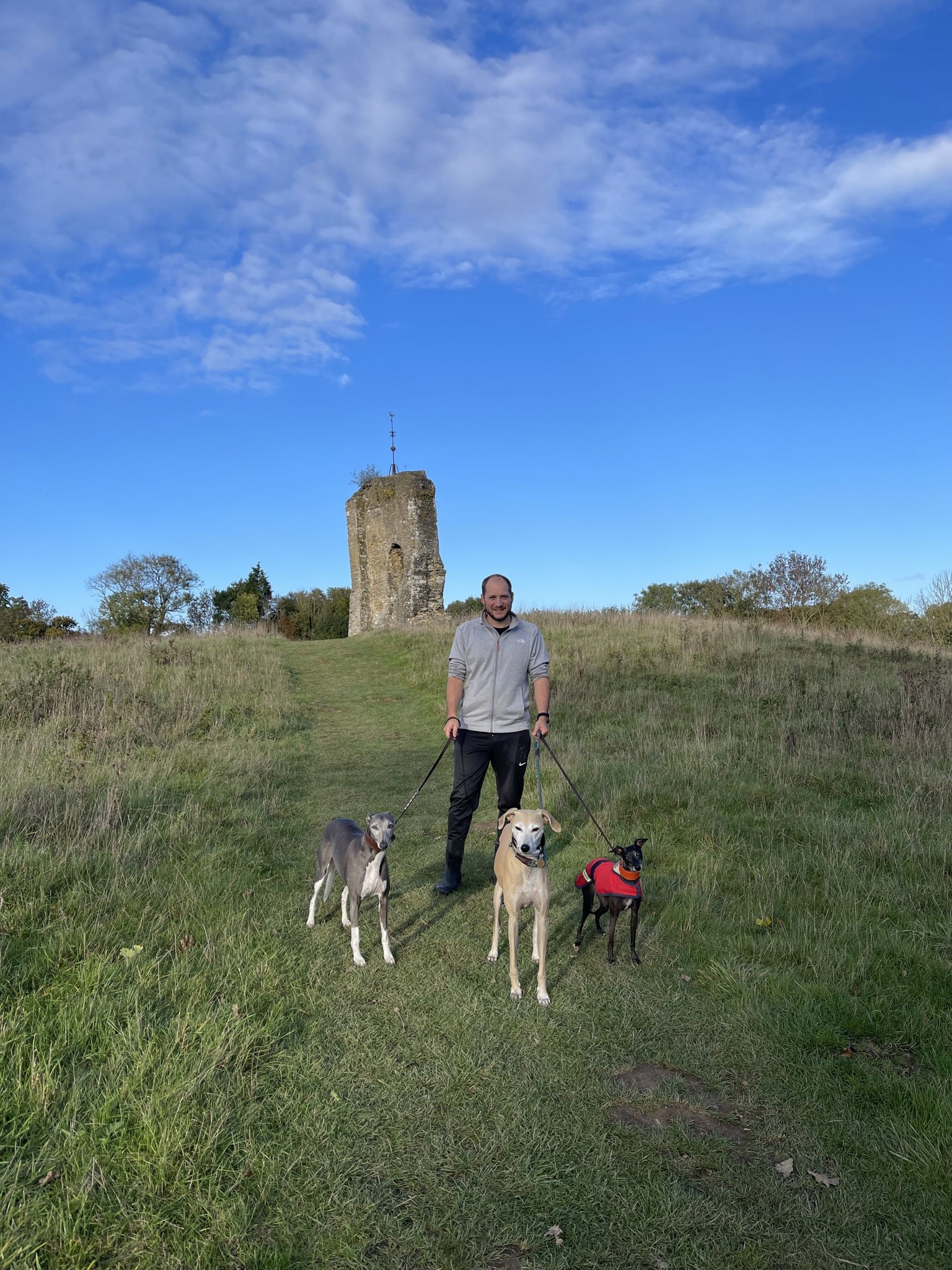 Walking at Knepp Rewilding Project, Sussex | Chris & Suze Go Walkies