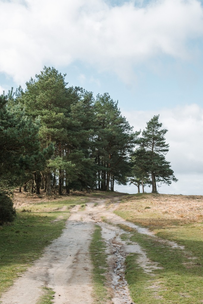 Visiting Winnie the Pooh sites on the Ashdown Forest | Chris & Suze Go ...