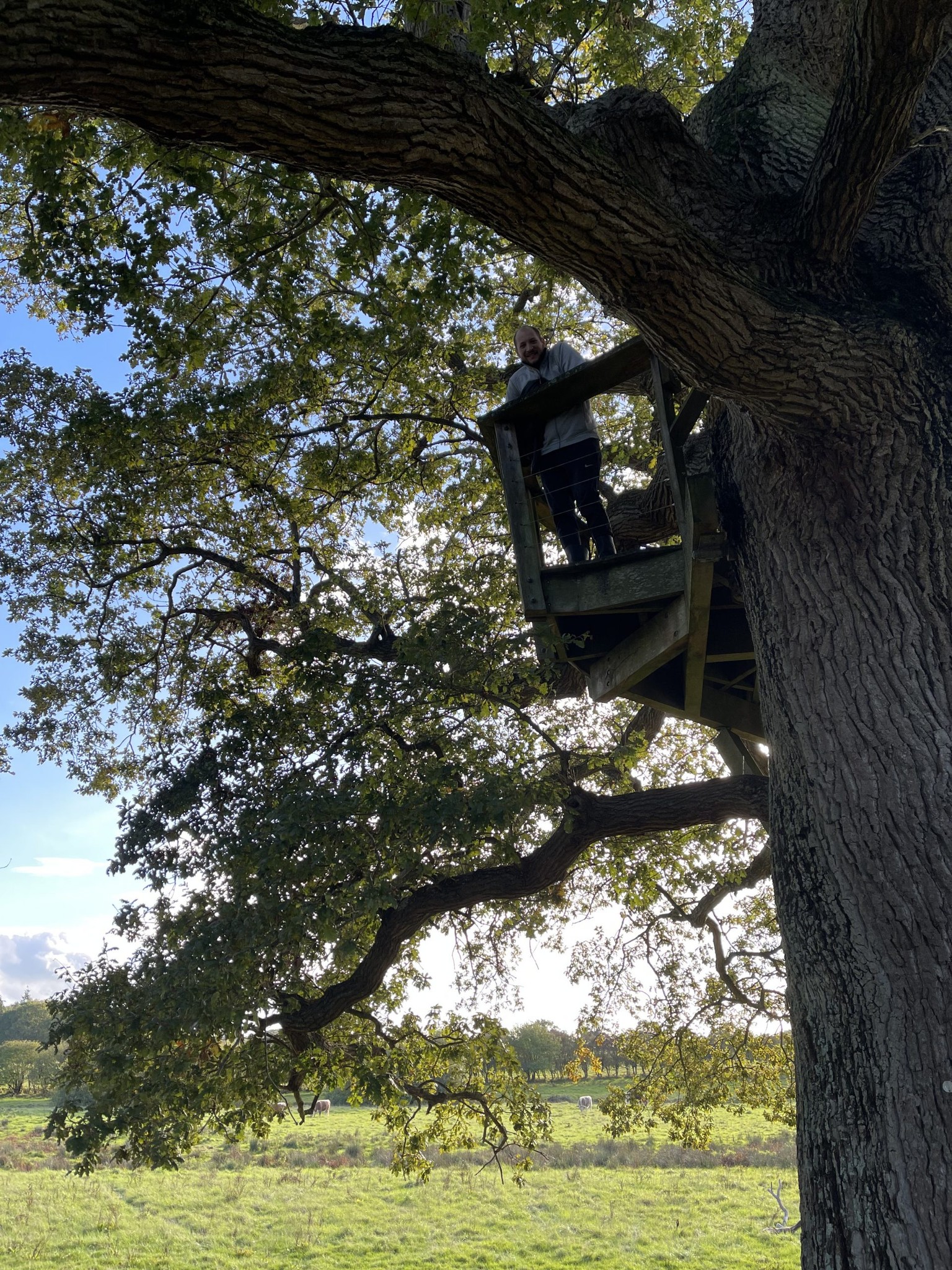 Walking at Knepp Rewilding Project, Sussex | Chris & Suze Go Walkies