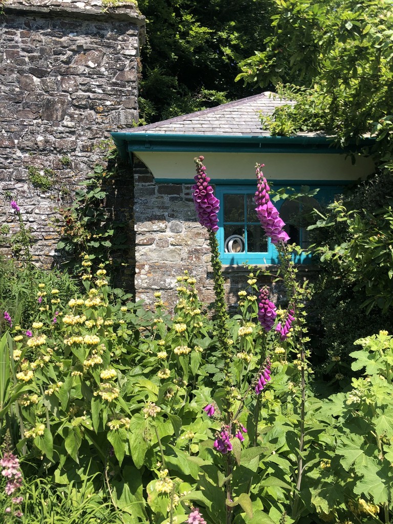 Visiting Clovelly: A quintessential British village | Chris & Suze Go ...