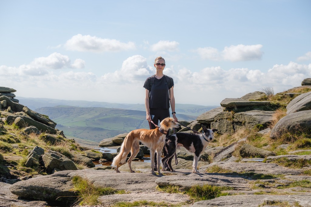 Rover review – our experience as pet sitters | Chris & Suze Go Walkies