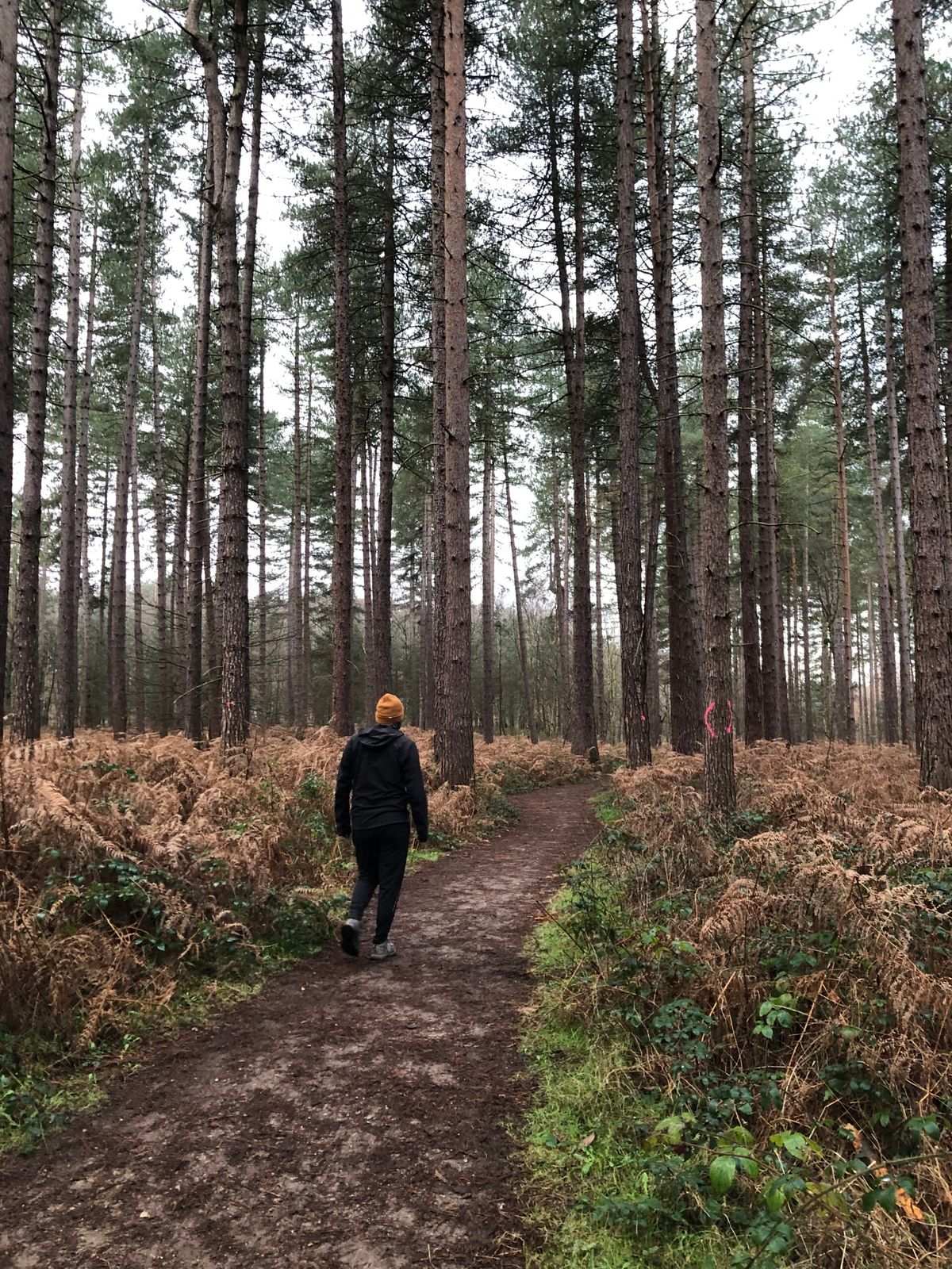 Scorhill and Gidleigh loop | Chris & Suze Go Walkies