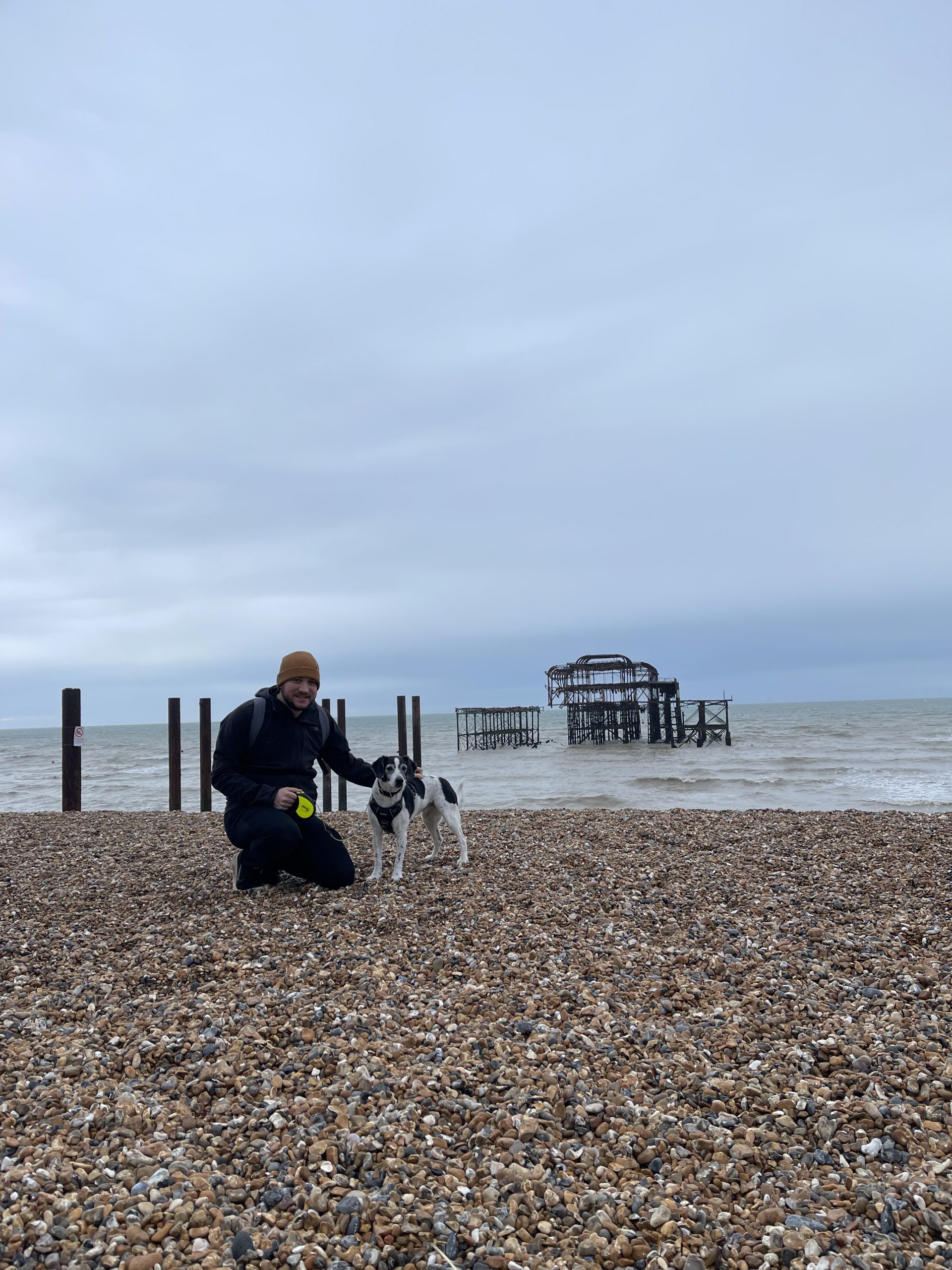 A dog-friendly day out in Brighton and Hove | Chris & Suze Go Walkies