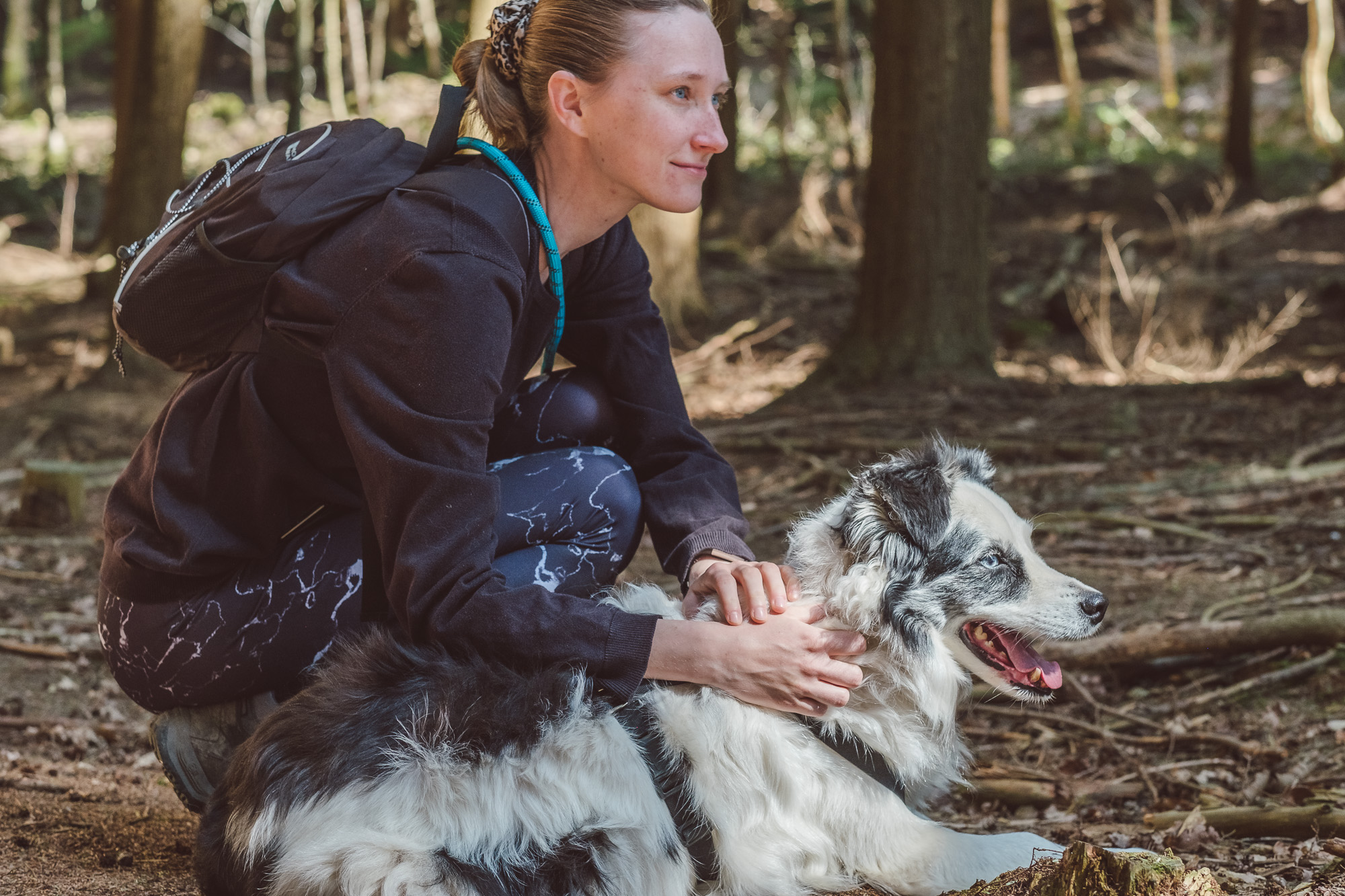 6 brands every dog owner should know | Chris & Suze Go Walkies