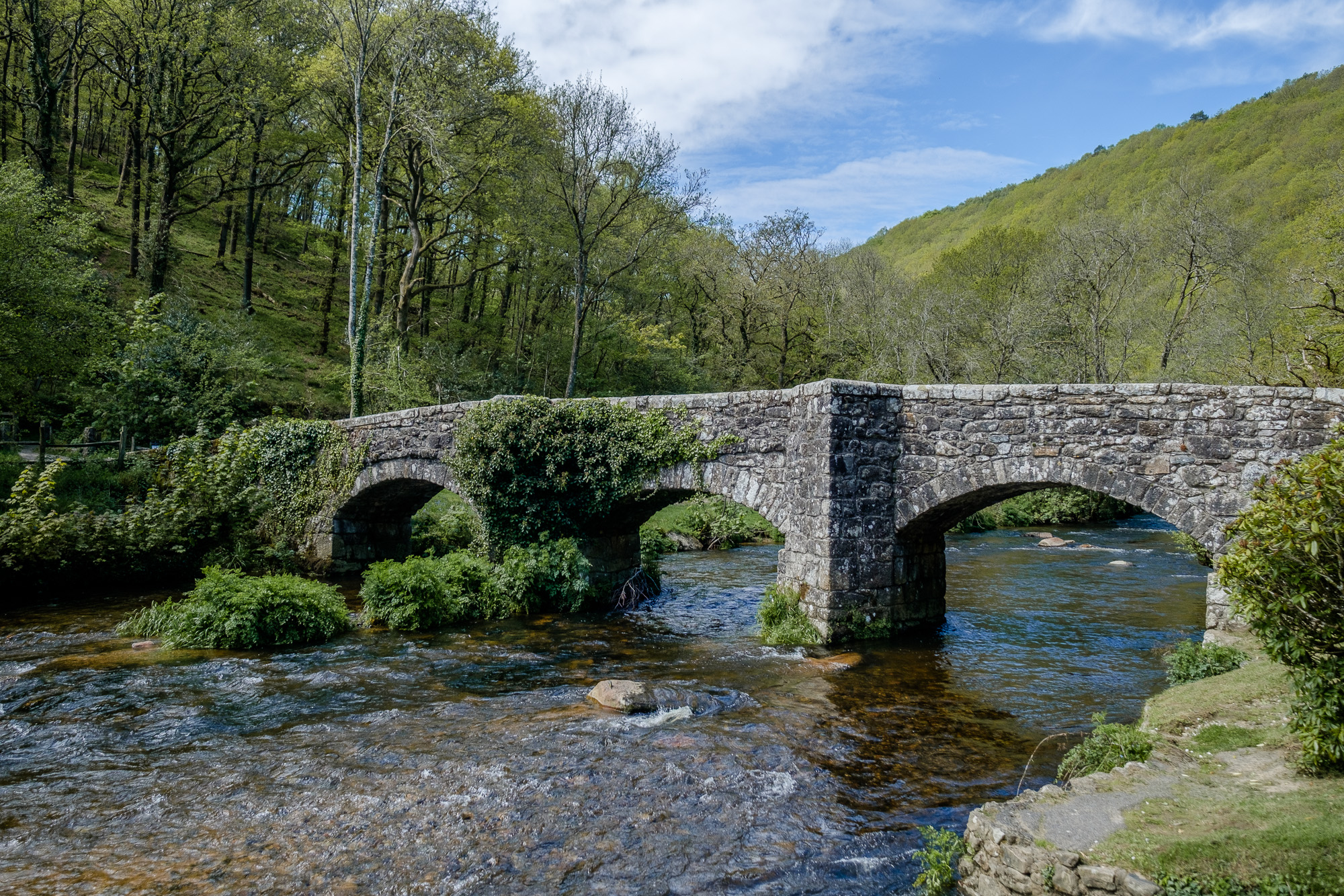 Chagford to Fingle Bridge circular | Chris & Suze Go Walkies